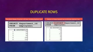 Using basic select statement in oracle database | PPT