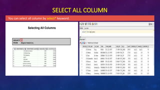 Using basic select statement in oracle database | PPT