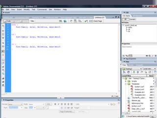 Using Cascading Style Sheets2 | PPT