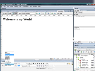 Using Cascading Style Sheets2 | PPT