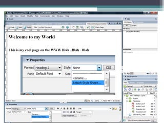 Using Cascading Style Sheets2 | PPT