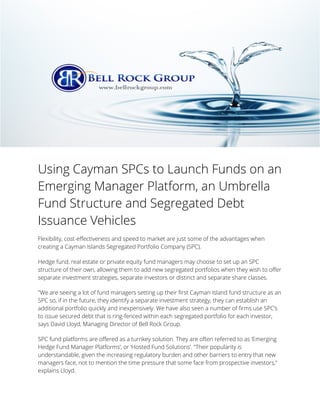 Forming a Cayman SPC - Cayman Fund Structuring | PDF