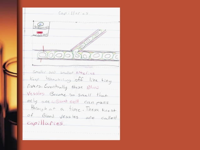 Core Knowledge | PPT