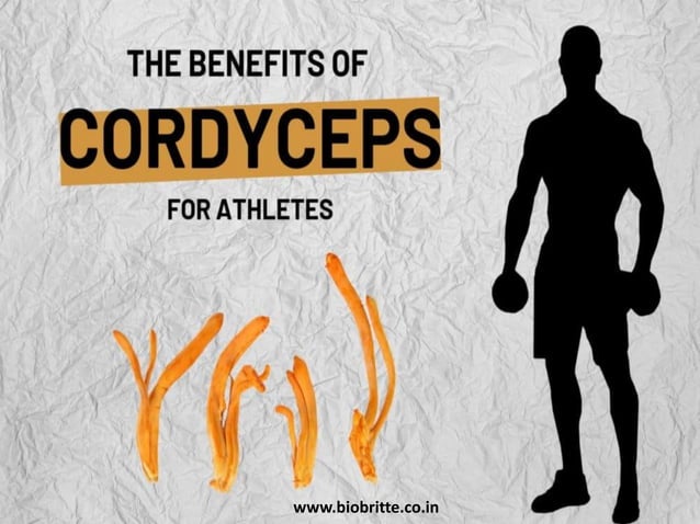 Using cordyceps for Athletic Performance.pdf