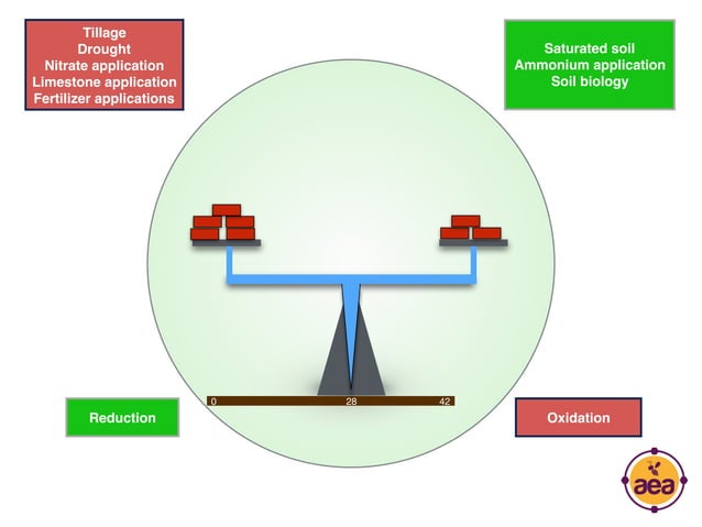 Using Cover Crops to Develop Disease Suppressive Soil | PPT