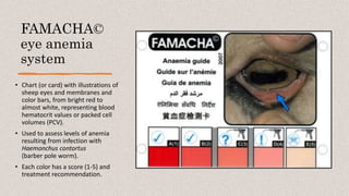 Proper deworming methods | PPTX | Infectious Diseases | Diseases and ...