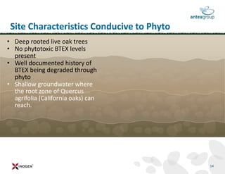 Using Environmental Molecular Diagnostics to support a Rhizodegradation ...
