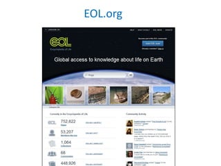Using EOL: Taxon Pages | PPT