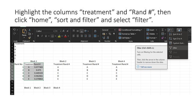 Using Excel For Randomization 1 Ppt