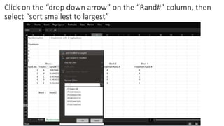 Using excel for randomization 1 | PPT