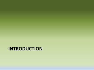 Application and Website Security -- Designer Edition: Using Formal ...