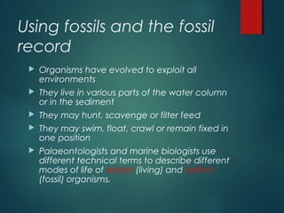 Using fossils, modes of life and palaeoenvironments | PPT