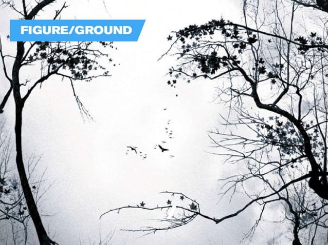 Using Gestalt Theory In Visualizations And Presentations Pptx Science