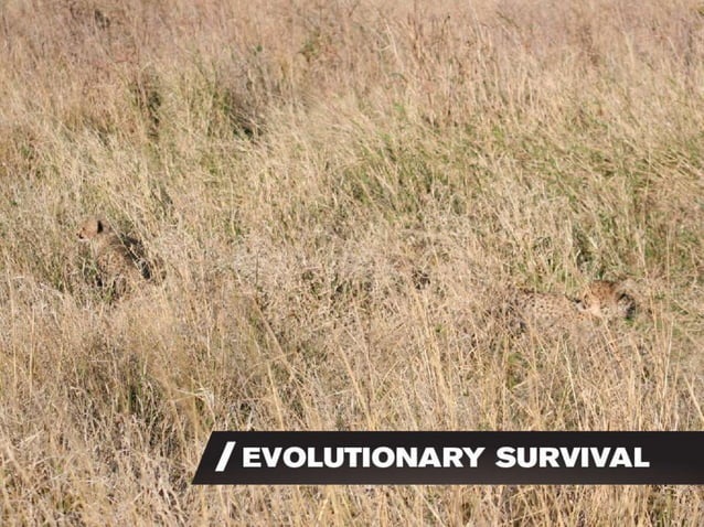 Using Gestalt Theory In Visualizations And Presentations Pptx Science