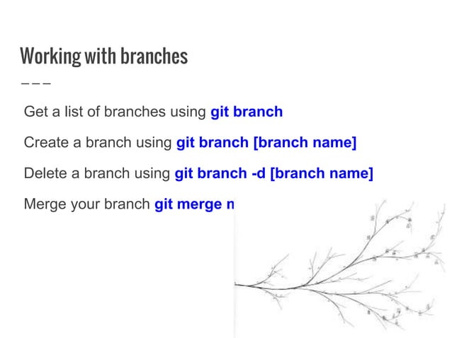 Intro to Git, GitHub, and BitBucket | PPTX | Shareware and Freeware | Computer Software and ...