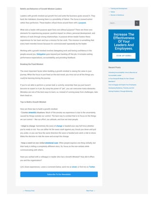 Using Growth Mindset For Career Success.pdf