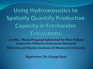 Using Hydroacoustics To Spatially Quantify Productive Capacity In | PPTX