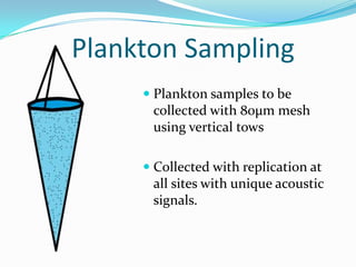 Using Hydroacoustics To Spatially Quantify Productive Capacity In | PPTX