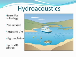 Using Hydroacoustics To Spatially Quantify Productive Capacity In | PPTX