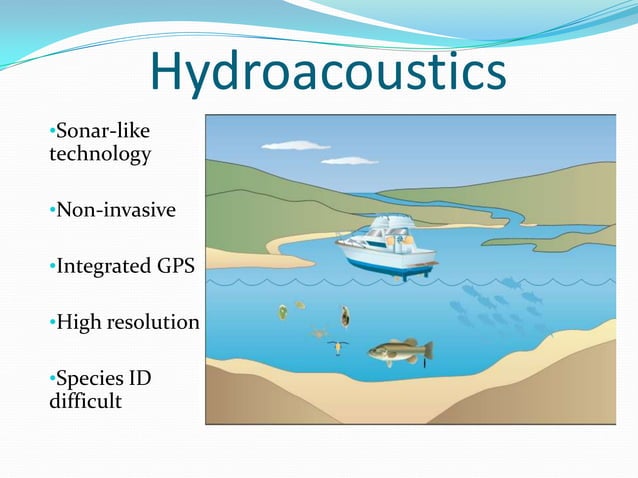 Using Hydroacoustics To Spatially Quantify Productive Capacity In | PPTX | Fish and Aquariums | Pets