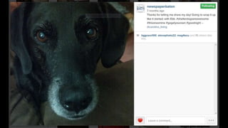 Using Instagram: Newspaper Baton - Beth Grace | PPTX