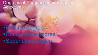 Degrees of Comparison in Adjectives | PPTX