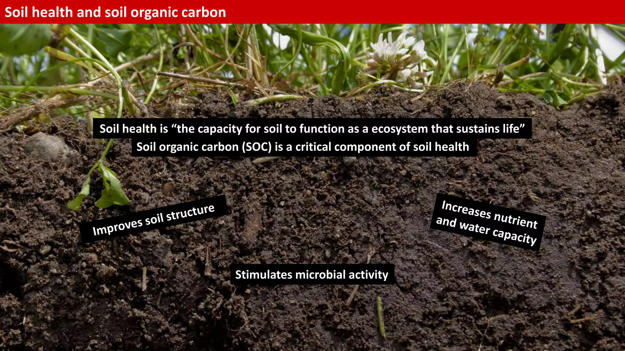 Using low organic matter soils to compare conventional soil organic ...