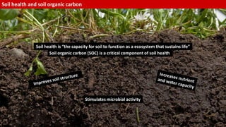 Using low organic matter soils to compare conventional soil organic ...