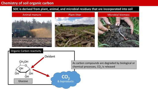Using low organic matter soils to compare conventional soil organic ...