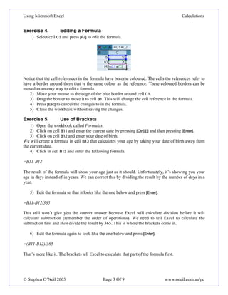 Using Microsoft Excel2 Calculations | PDF
