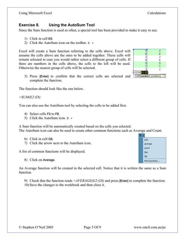 Using Microsoft Excel2 Calculations | PDF