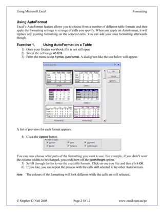 Using Microsoft Excel3 Formatting | PDF