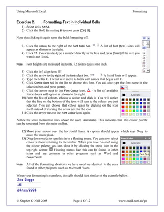 Using Microsoft Excel3 Formatting | PDF