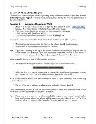 Using Microsoft Excel3 Formatting | PDF