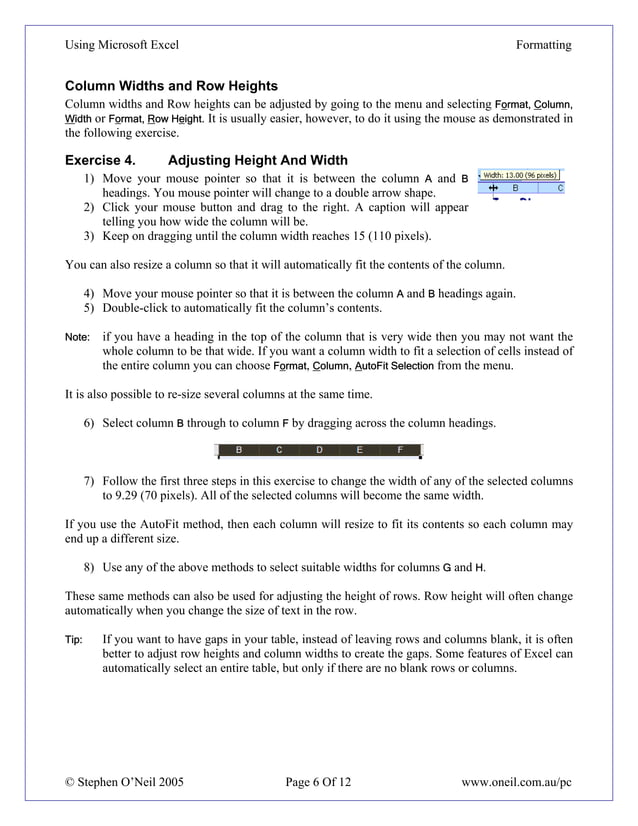 Using Microsoft Excel3 Formatting | PDF