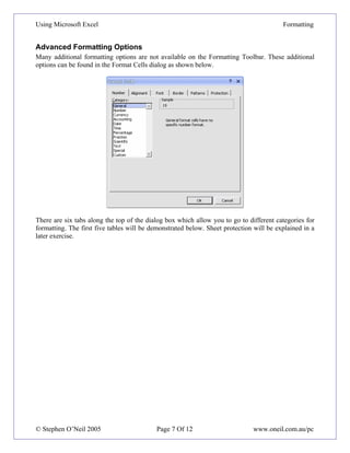 Using Microsoft Excel3 Formatting | PDF
