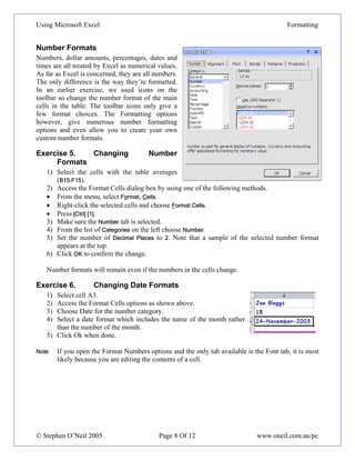 Using Microsoft Excel3 Formatting | PDF