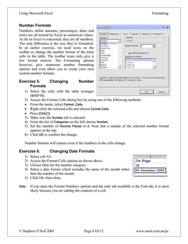 Using Microsoft Excel3 Formatting | PDF
