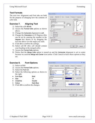 Using Microsoft Excel3 Formatting | PDF