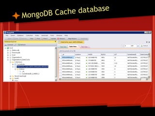 Building a GIS SaaS App using MongoDB | PDF