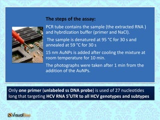 Using nanoparticles in hcv diagnosis | PPTX