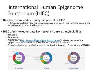 Using public databases to inform research questions | PPT