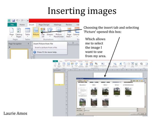 Using publisher to create the magazine advertisement | PPTX