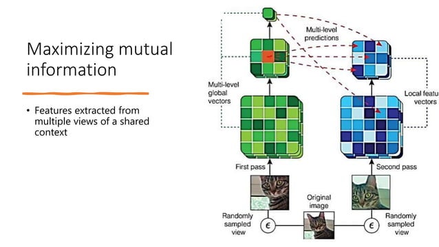using Self-Supervised Learning Can Improve Model Robustness and uncertainty.pptx