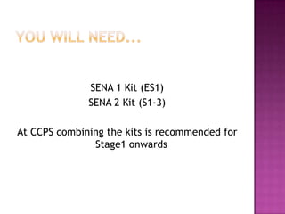 Using sena to assess students’ numeracy development | PPTX