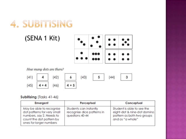 Using sena to assess students’ numeracy development | PPT