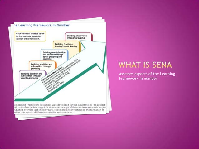 Using sena to assess students’ numeracy development | PPT