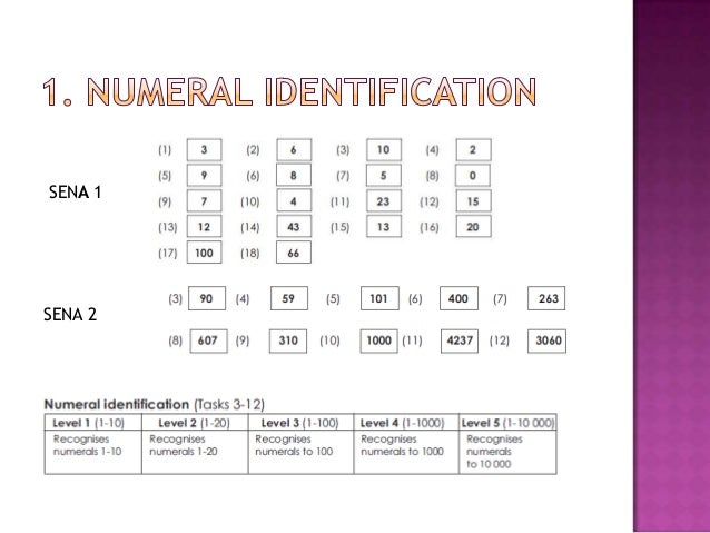 Using sena to assess students’ numeracy development