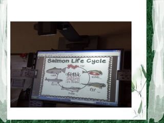 Using smart board in teaching 3 | PPT