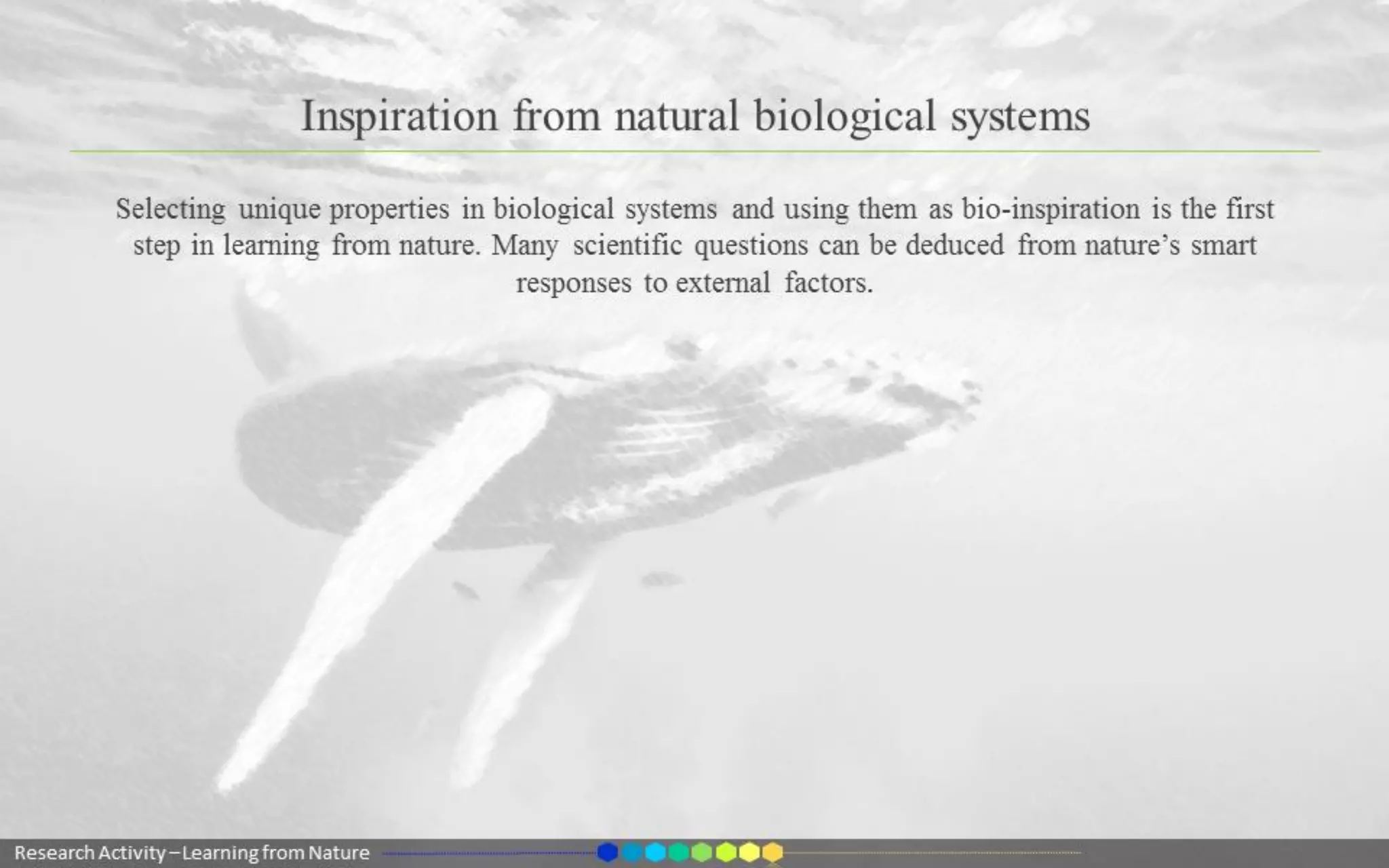 Using Smart Materials to Mimic Nature In Architecture - M.Sc - YASMINE ...
